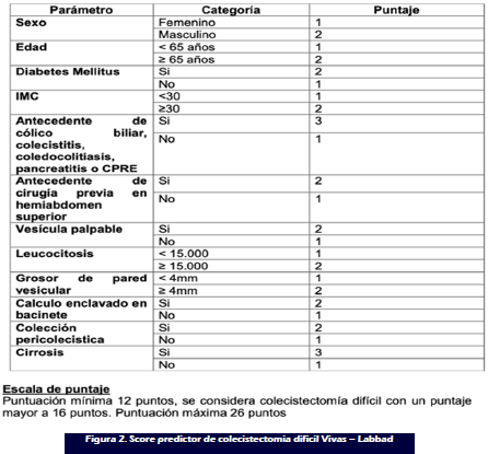 Vista de Score preoperatorio para la predicción de colecistectomía ...
